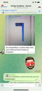 Gringa Academy Funciona Vale a Pena?