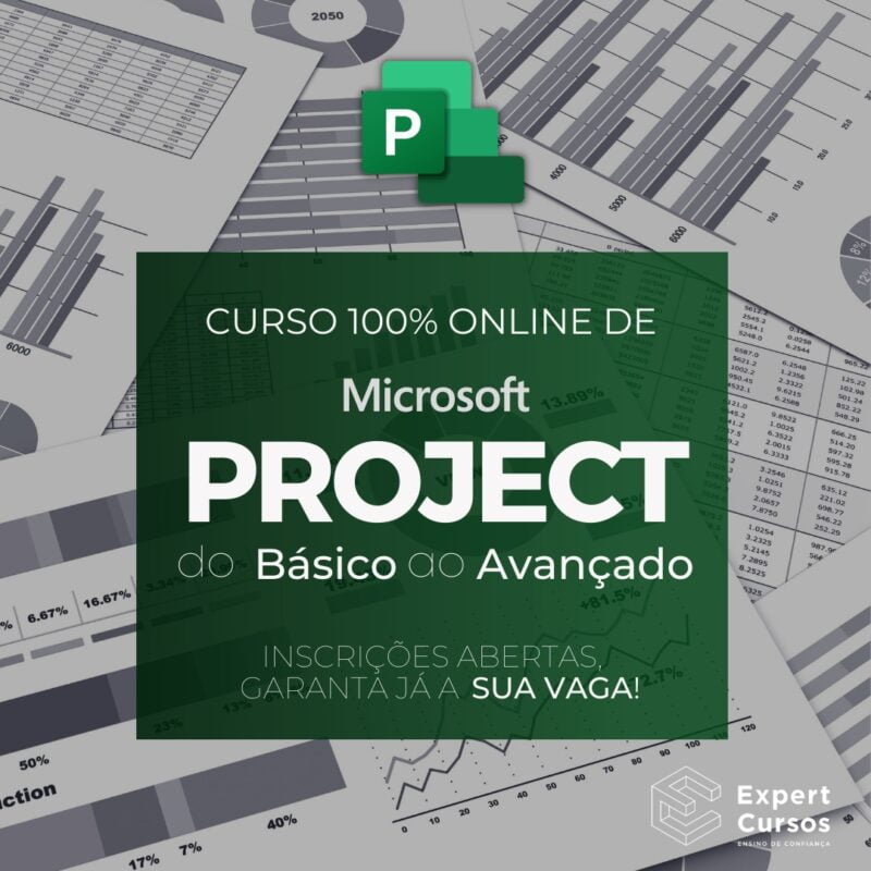 Curso de MS Project Básico ao Avançado É Bom?